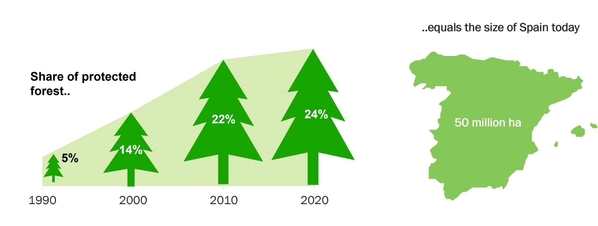 How do the EU forest guidelines impact the forest industry ...
